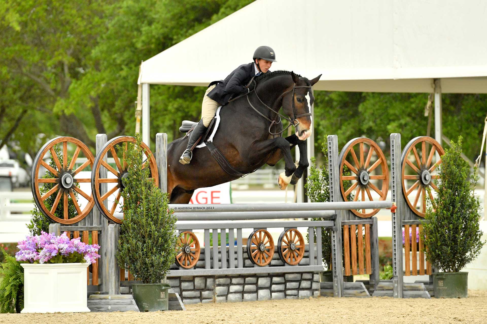Premier Hunter Jumper Training | Stonewall Farm